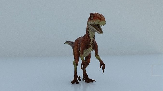 Atrociraptor dinosoure 3D model rigged | CGTrader