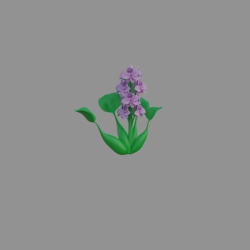 Photoreal Water Hyacinth free 3D model | CGTrader