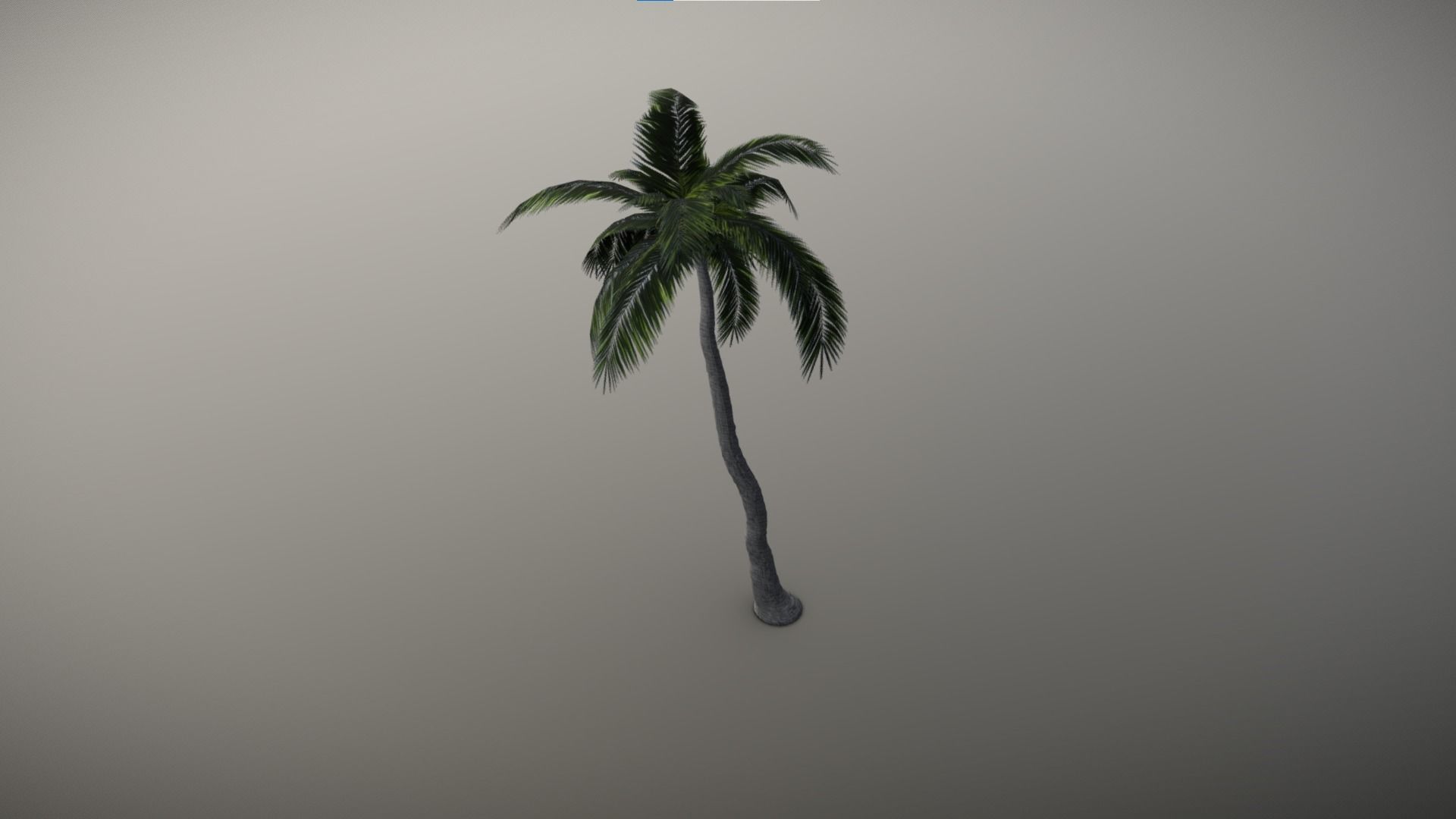 Tropical Palm free 3D model | CGTrader