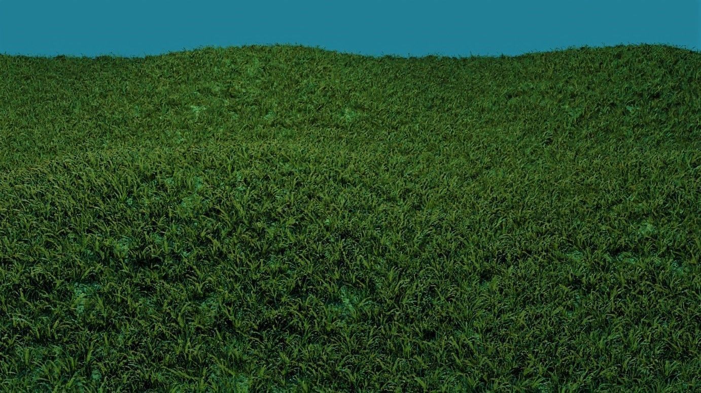 Simple Blender Grass 3D Model free 3D model | CGTrader
