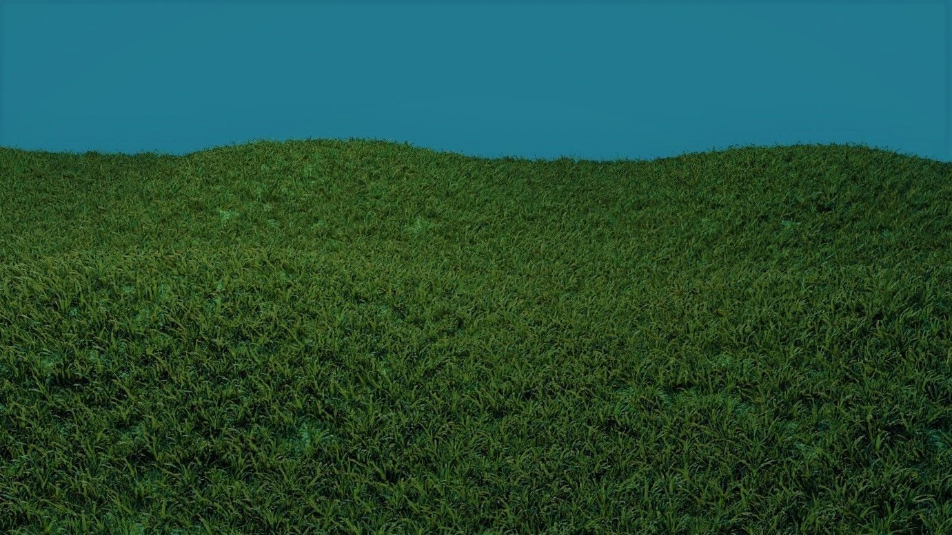 Simple Blender Grass 3D Model free 3D model | CGTrader