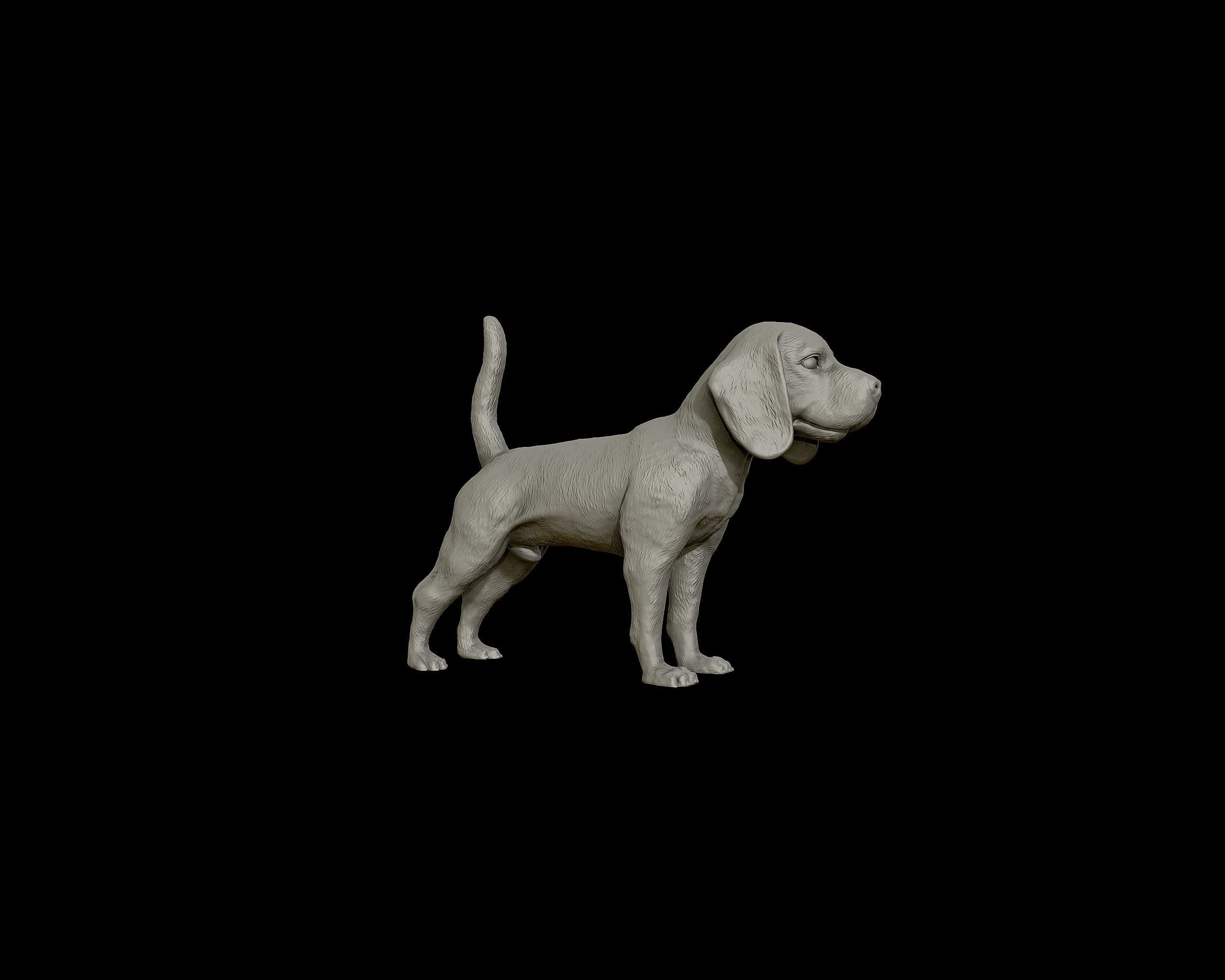 Beagle model 3D print model dog 3D model 3D printable | CGTrader
