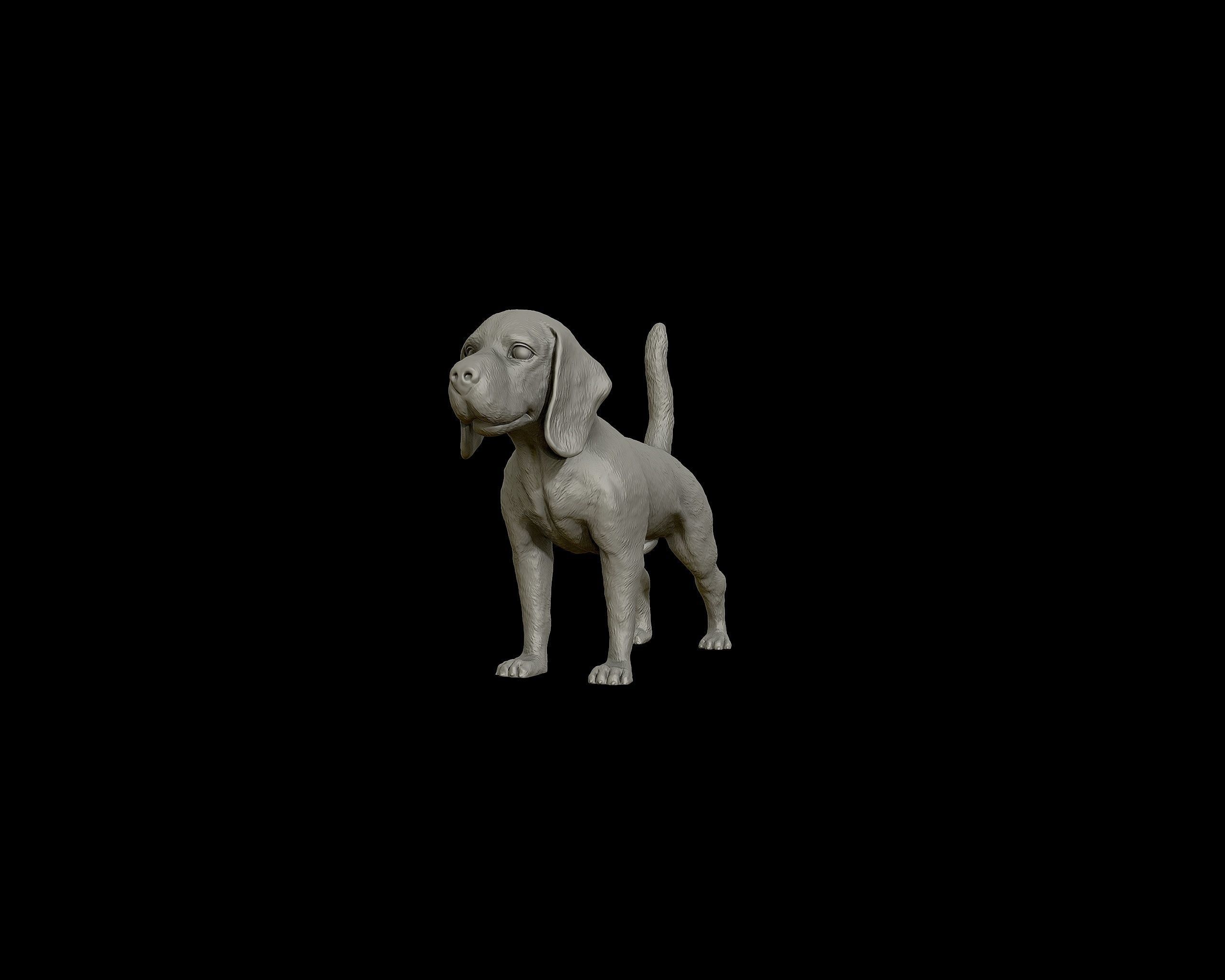 Beagle model 3D print model dog 3D model 3D printable | CGTrader