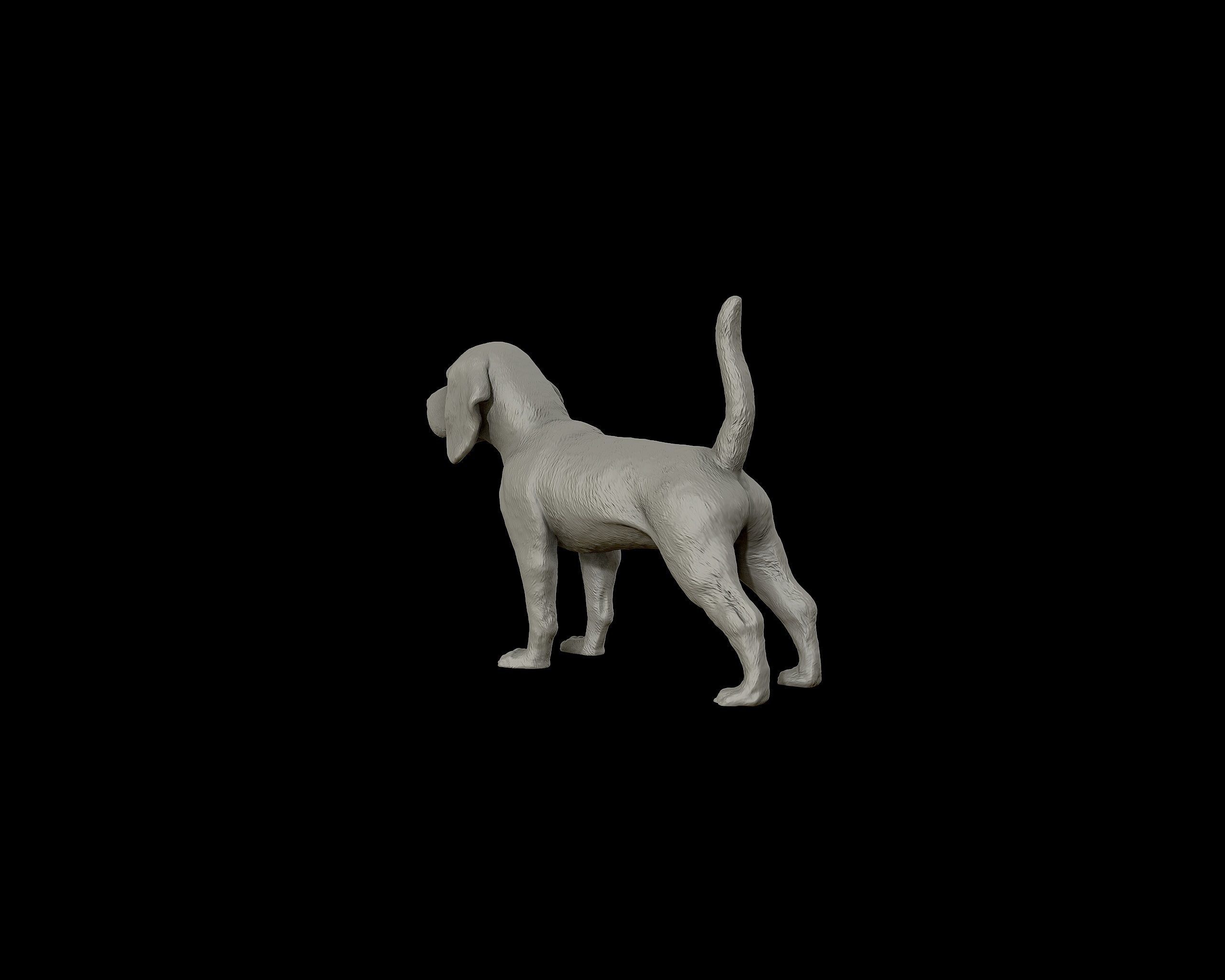 Beagle model 3D print model 3D model 3D printable | CGTrader