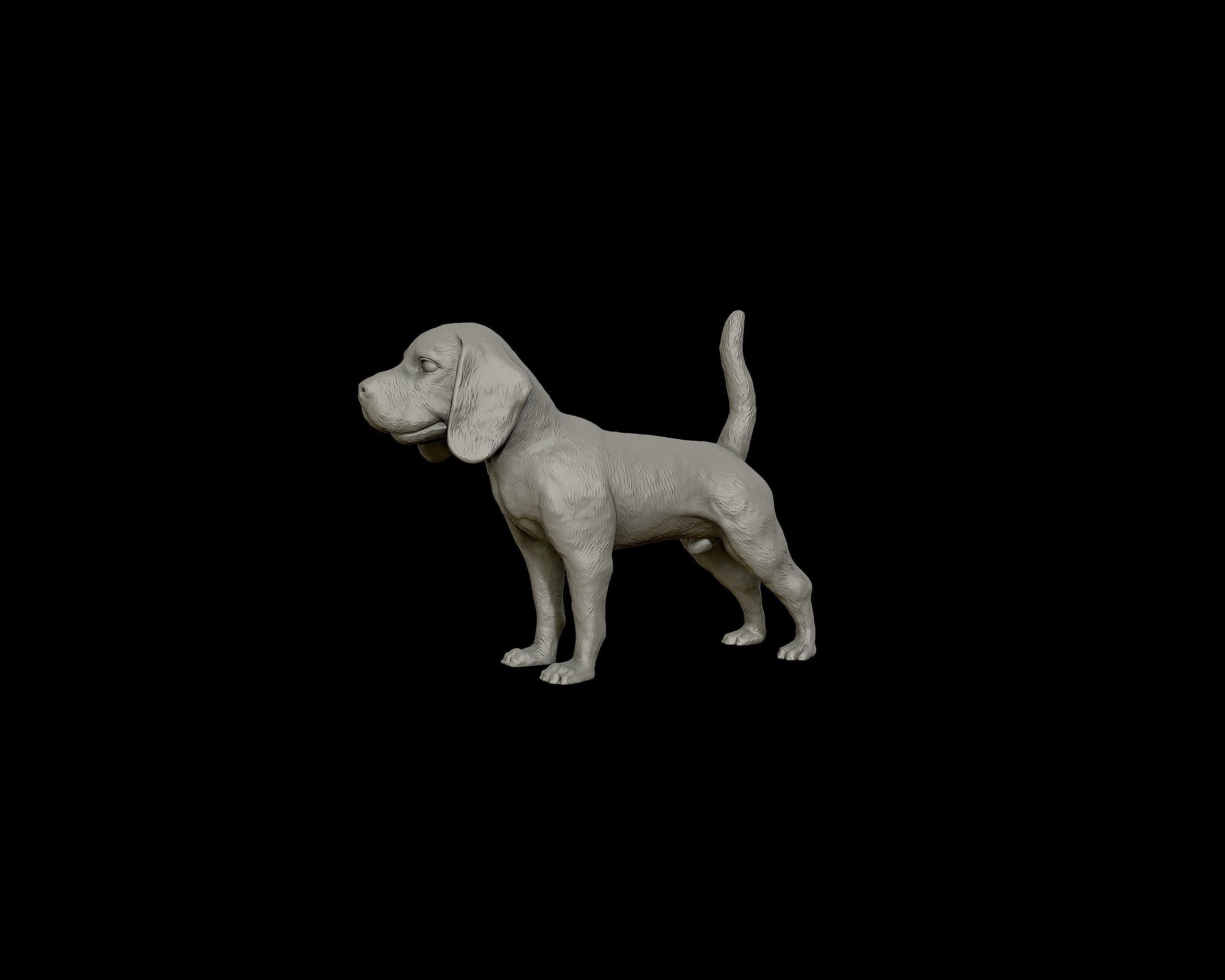 Beagle model 3D print model dog 3D model 3D printable | CGTrader
