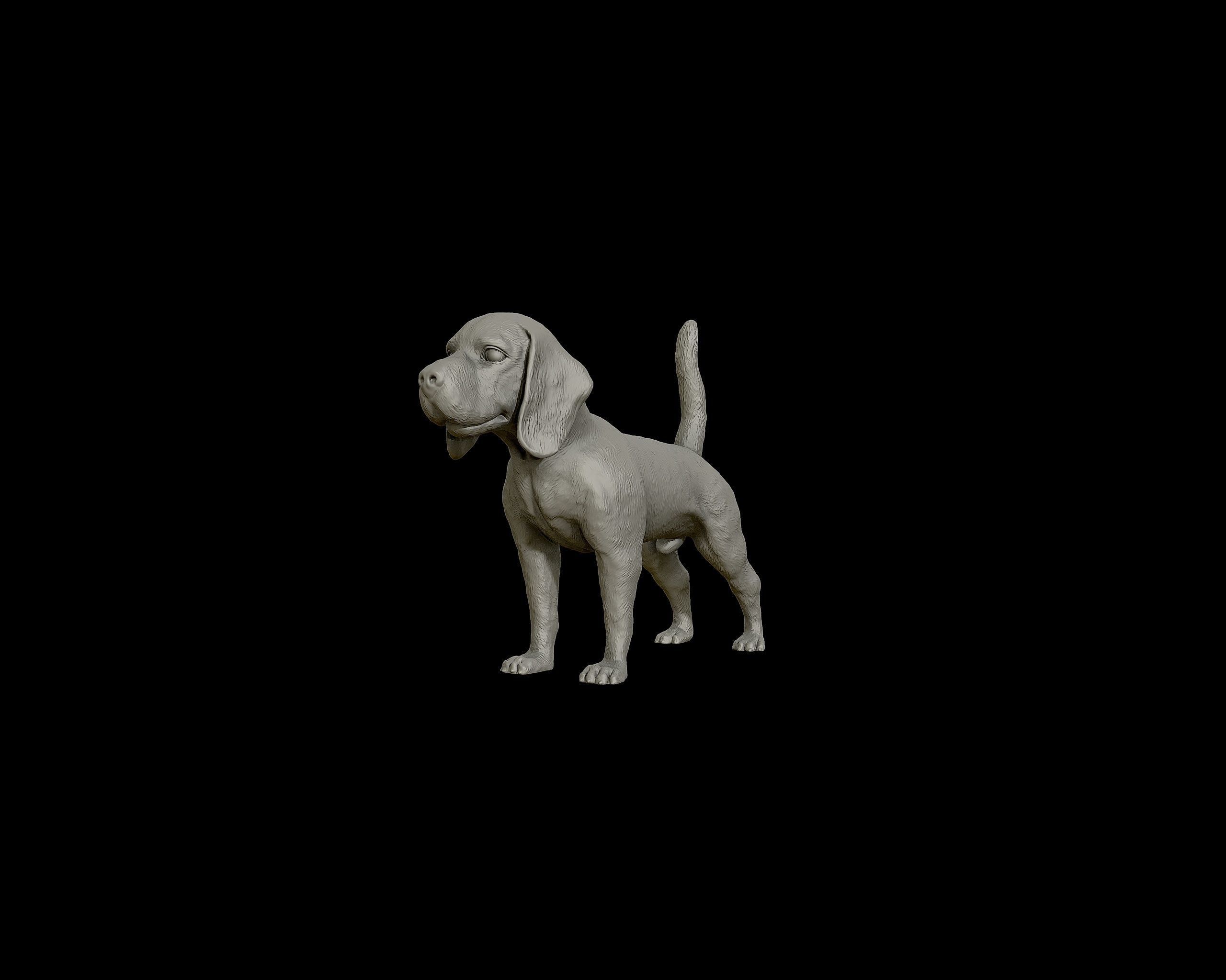 Beagle model 3D print model dog 3D model 3D printable | CGTrader