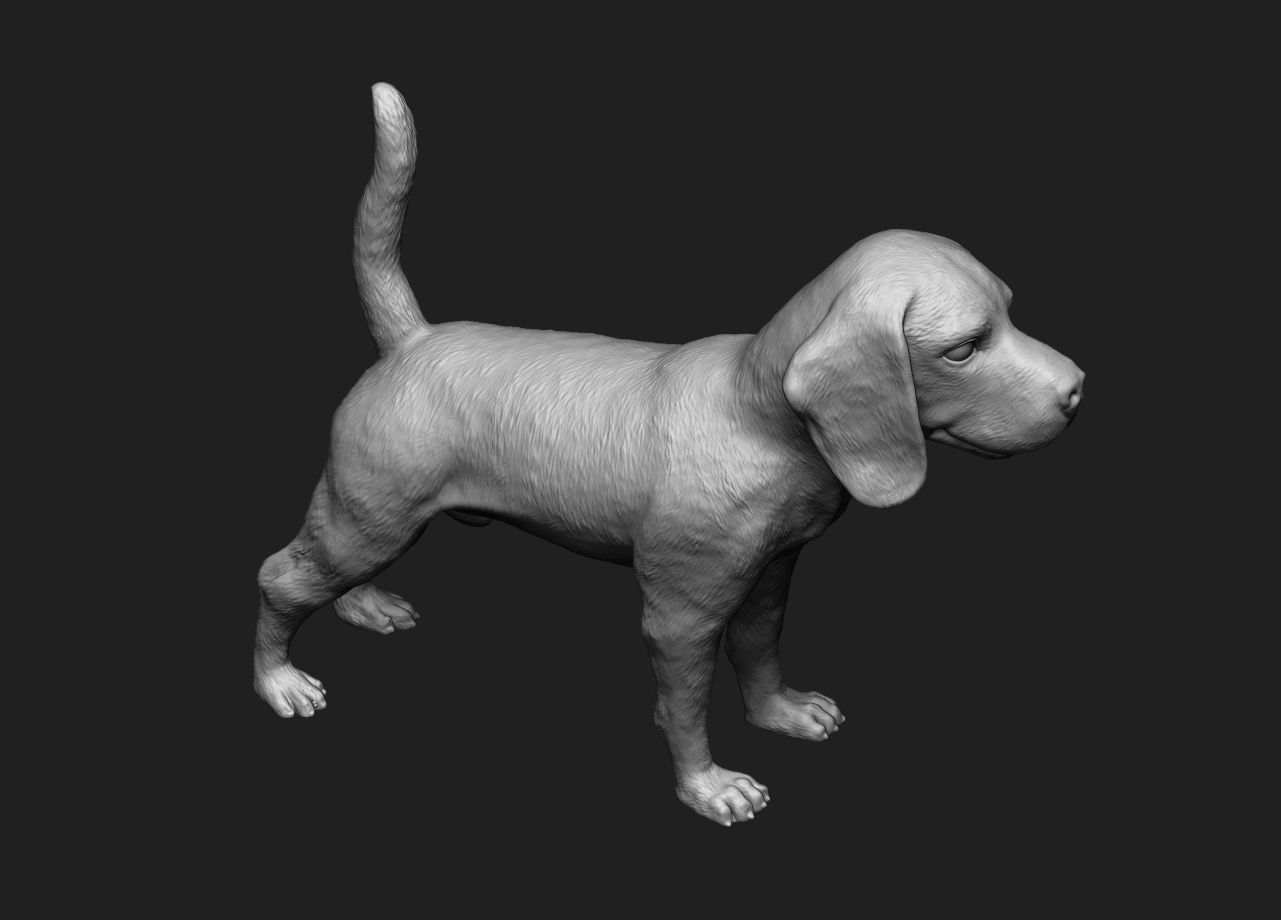Beagle model 3D print model 3D model 3D printable | CGTrader