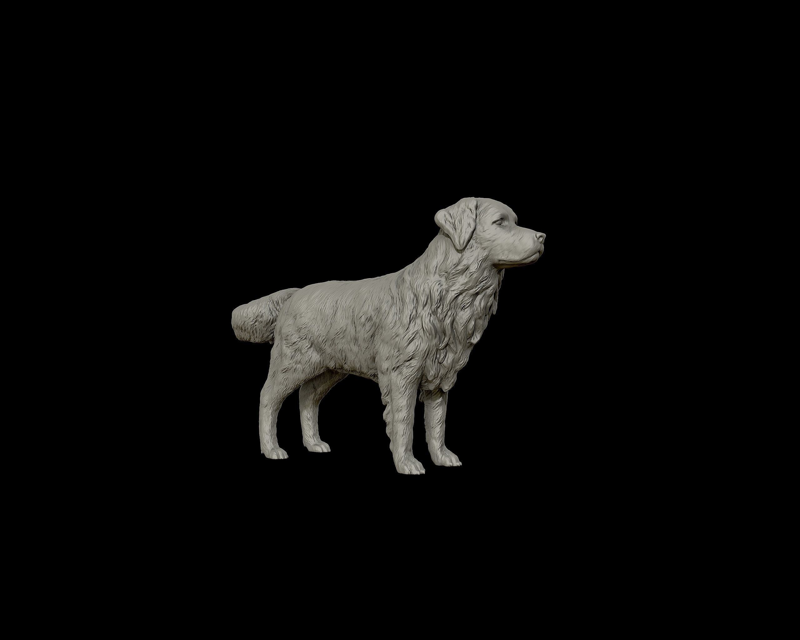 Golden Retriever model 3D print model 3D model 3D printable | CGTrader