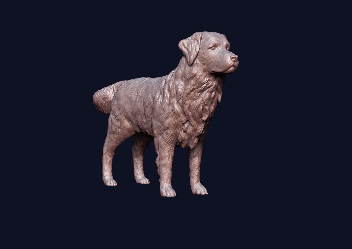 Golden Retriever model 3D print model 3D model 3D printable | CGTrader
