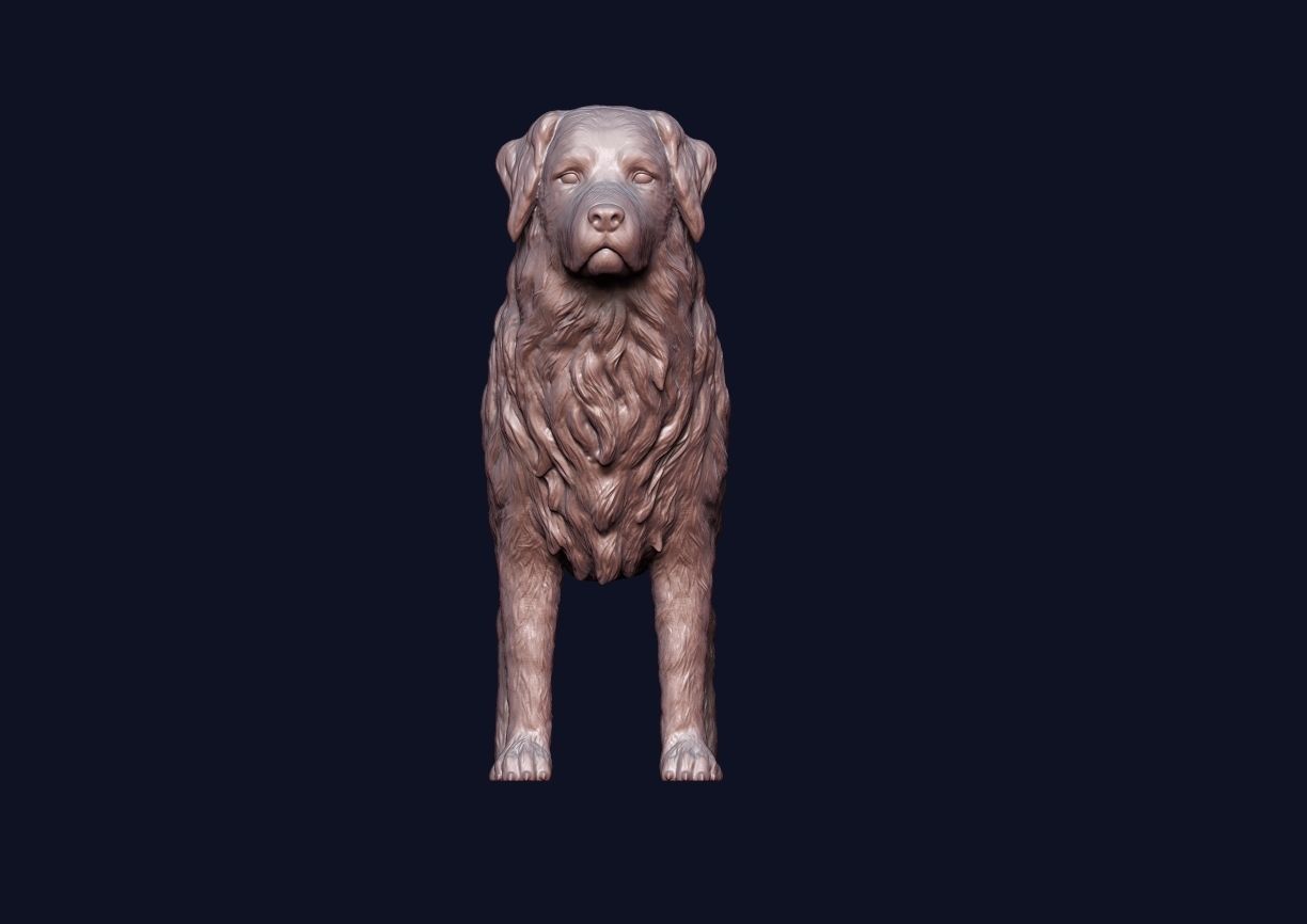 Golden Retriever model 3D print model 3D model 3D printable | CGTrader