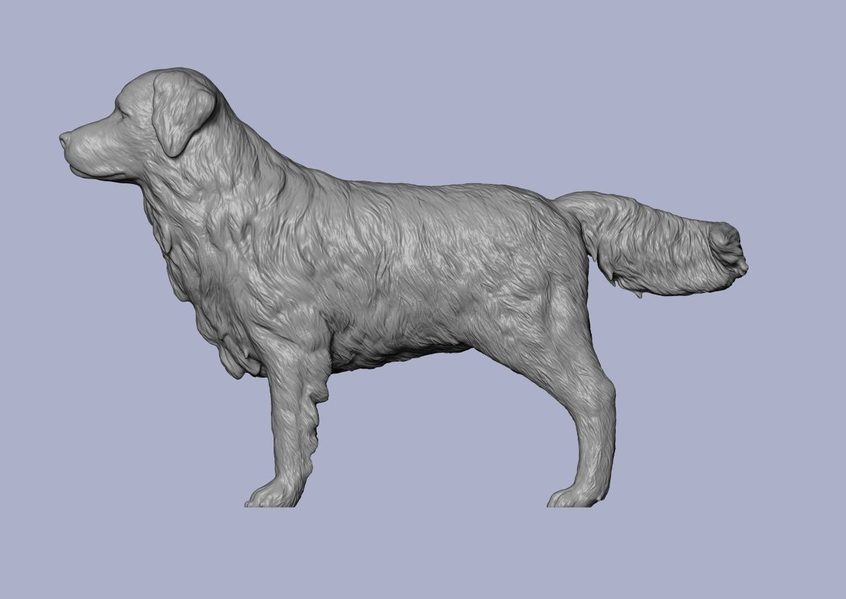 Golden Retriever model 3D print model 3D model 3D printable | CGTrader