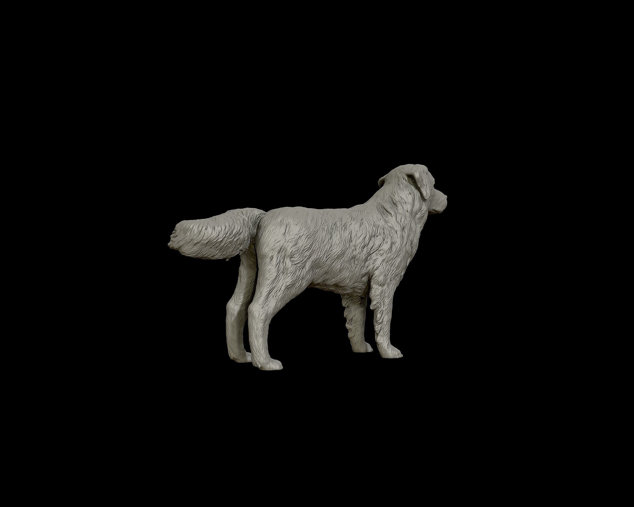 Golden Retriever model 3D print model 3D model 3D printable | CGTrader