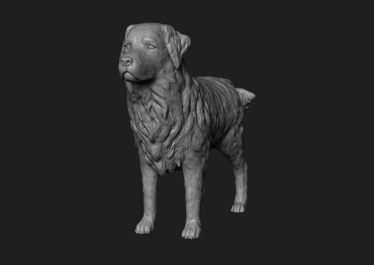 Golden Retriever model 3D print model 3D model 3D printable | CGTrader