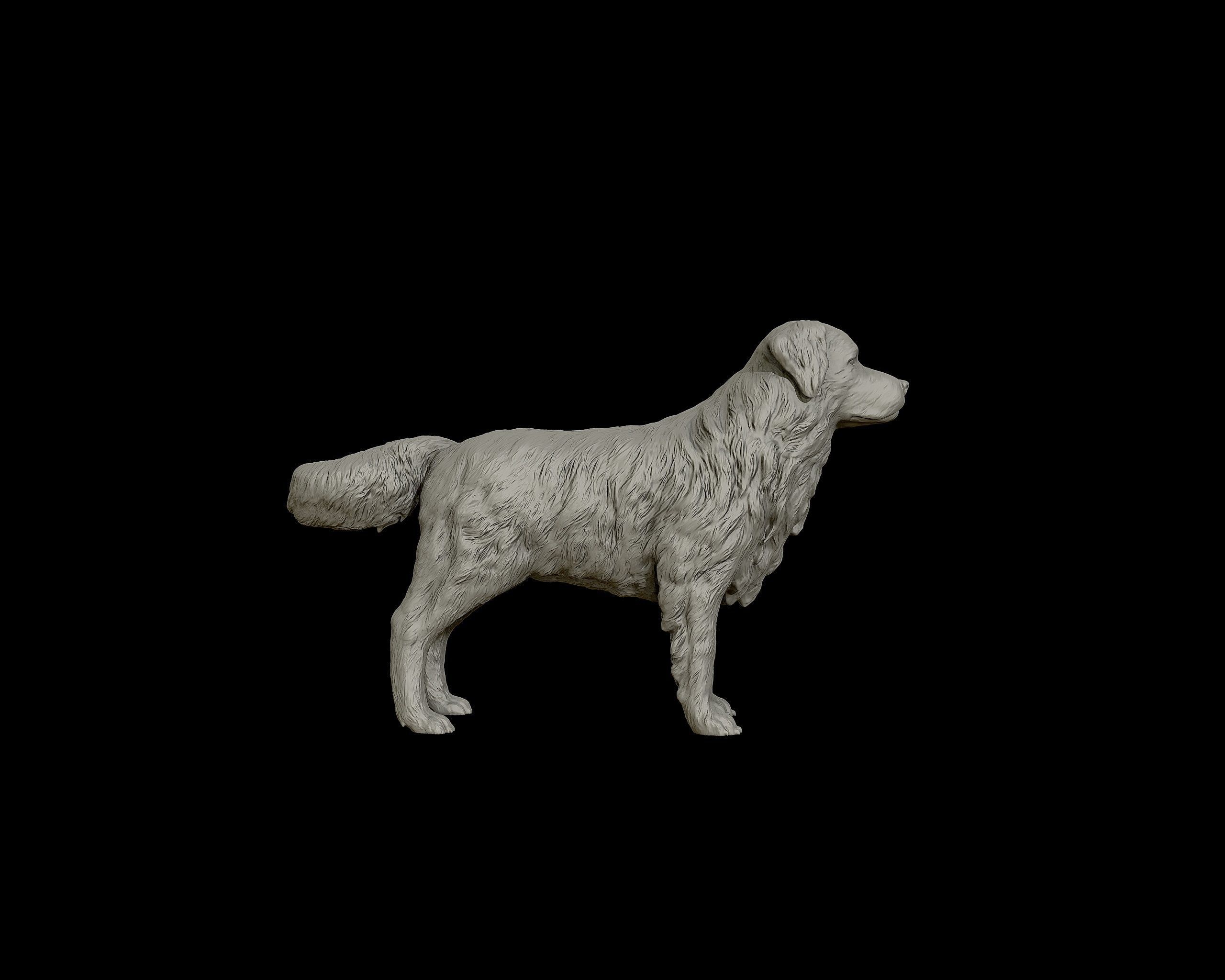 Golden Retriever model 3D print model 3D model 3D printable | CGTrader