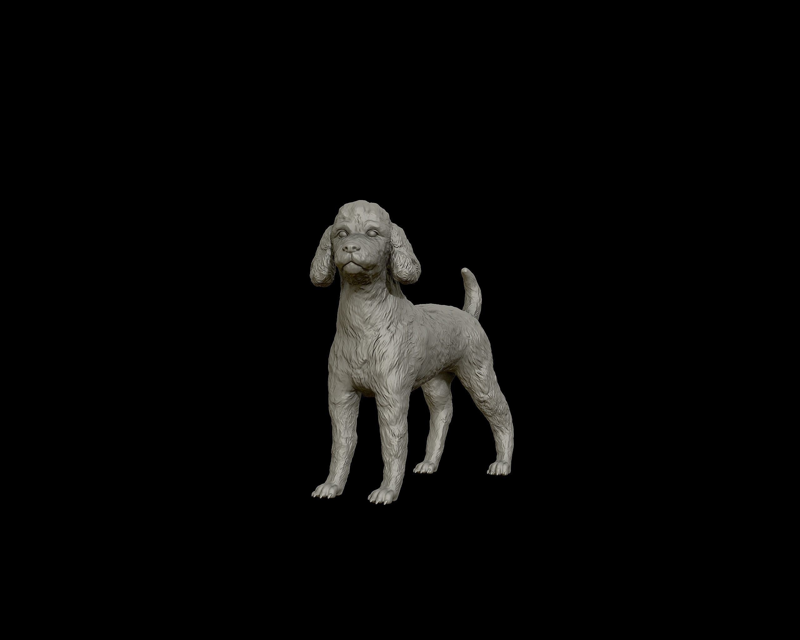Poodle model dog 3D model 3D printable | CGTrader