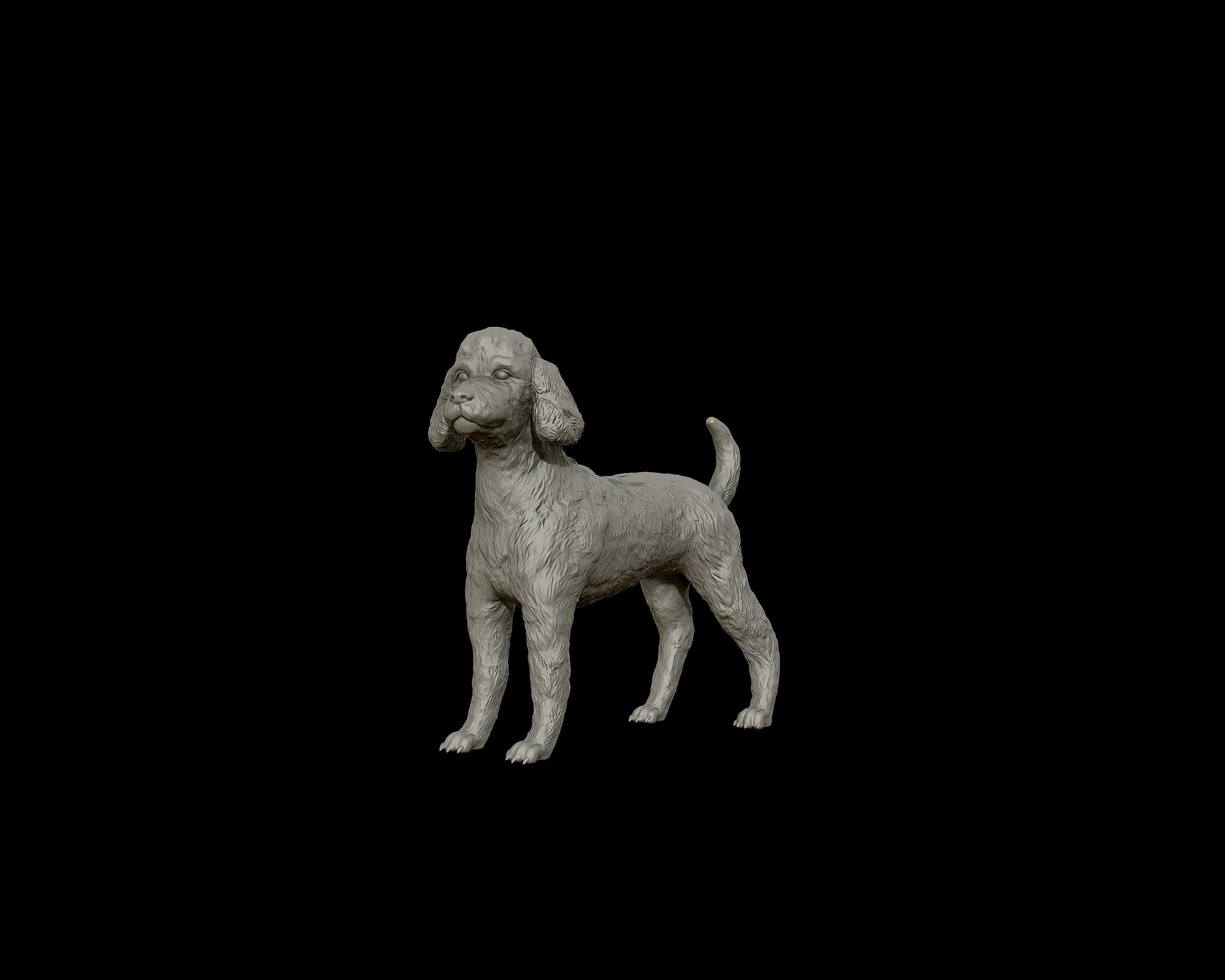 Poodle model 3D model 3D printable | CGTrader