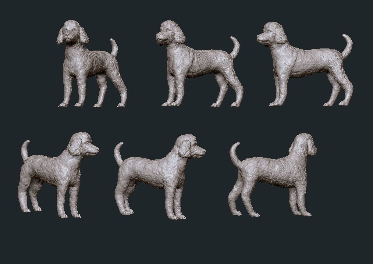 Poodle model dog 3D model 3D printable | CGTrader