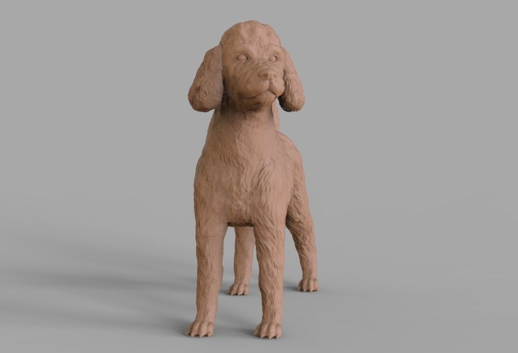 Poodle model dog 3D model 3D printable | CGTrader