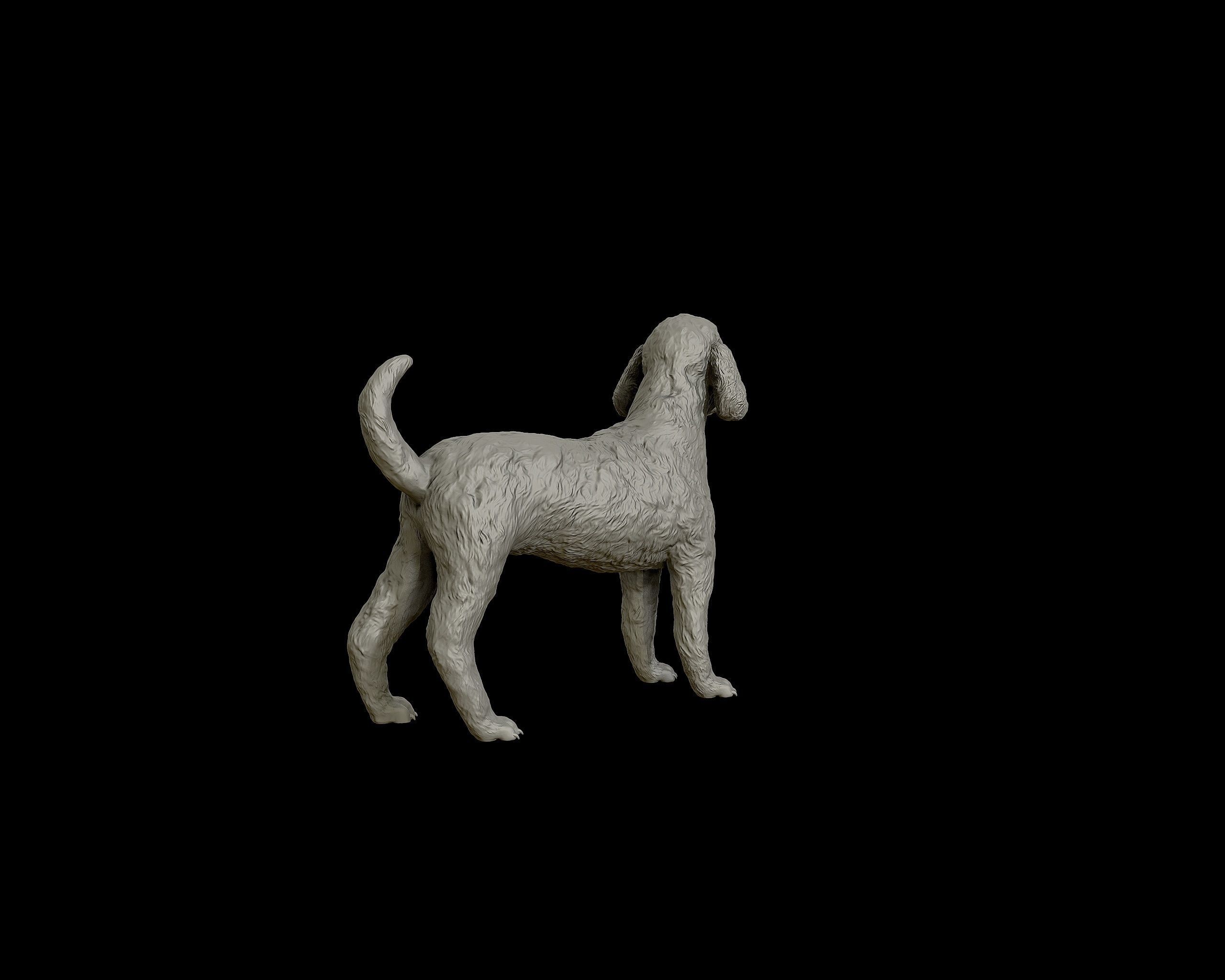 Poodle model 3D model 3D printable | CGTrader