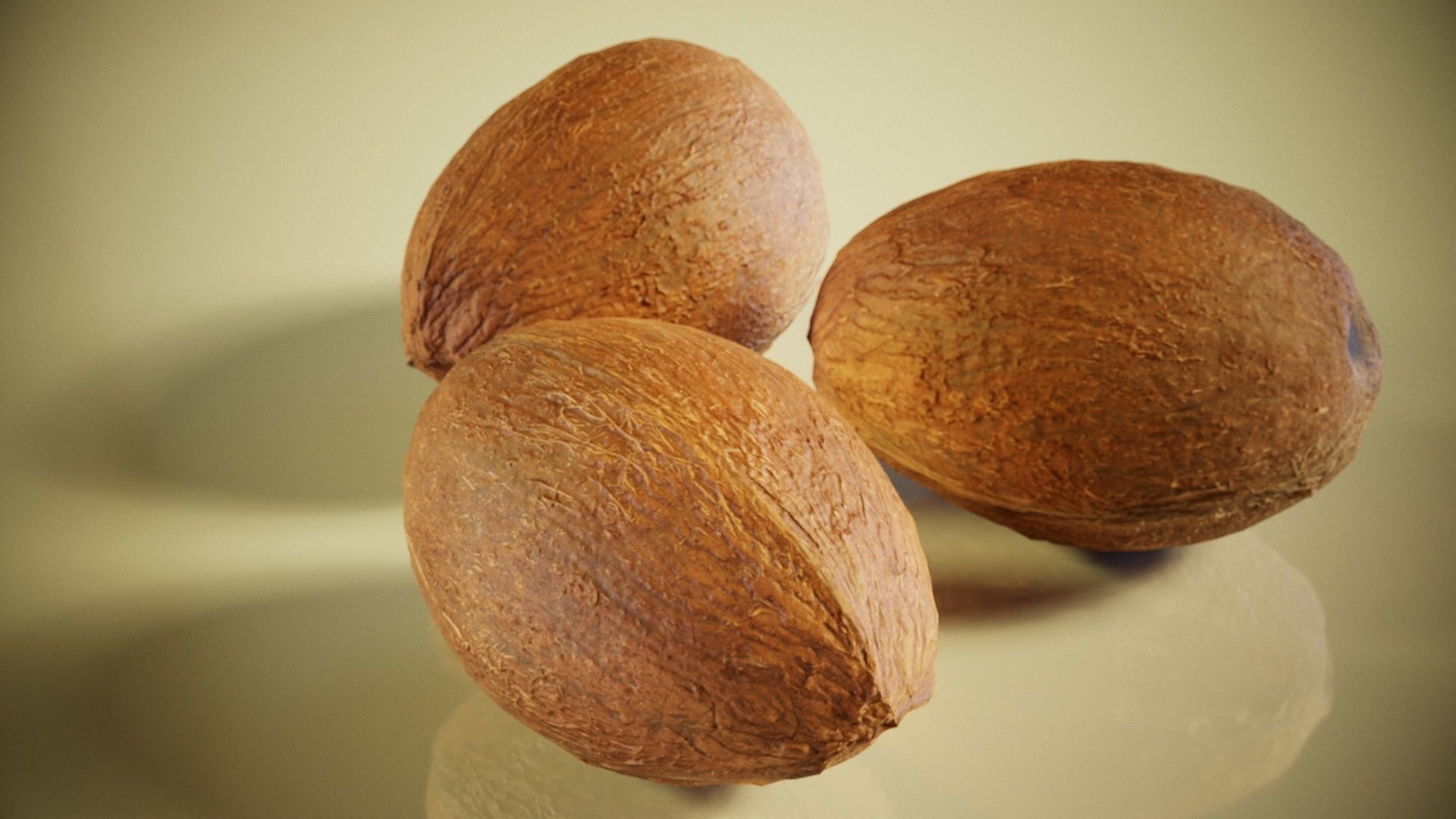 3D model Coconut three coconuts on table VR / AR / low-poly | CGTrader