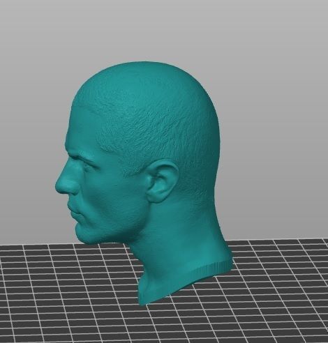 SAM WITER STARKILLER HEAD SCULPT 3D model 3D printable | CGTrader