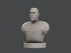 Travis Kelce 3D model 3D printable | CGTrader