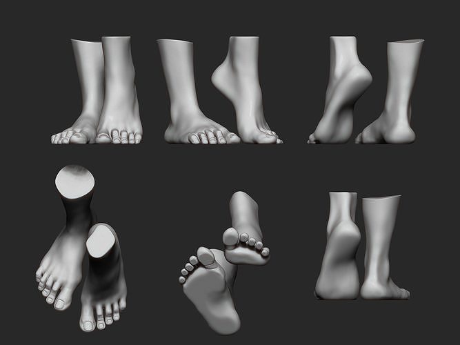 Foot Reference 3d