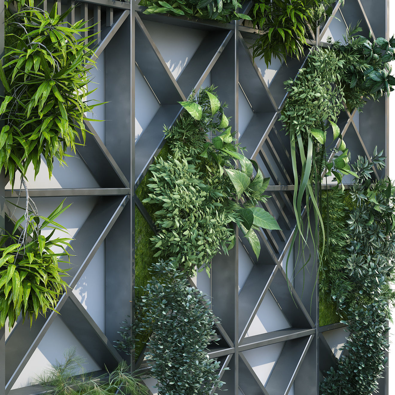 vertical plant set 200 3D model | CGTrader