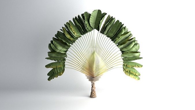 Ravenale - Madagascar 3D model | CGTrader