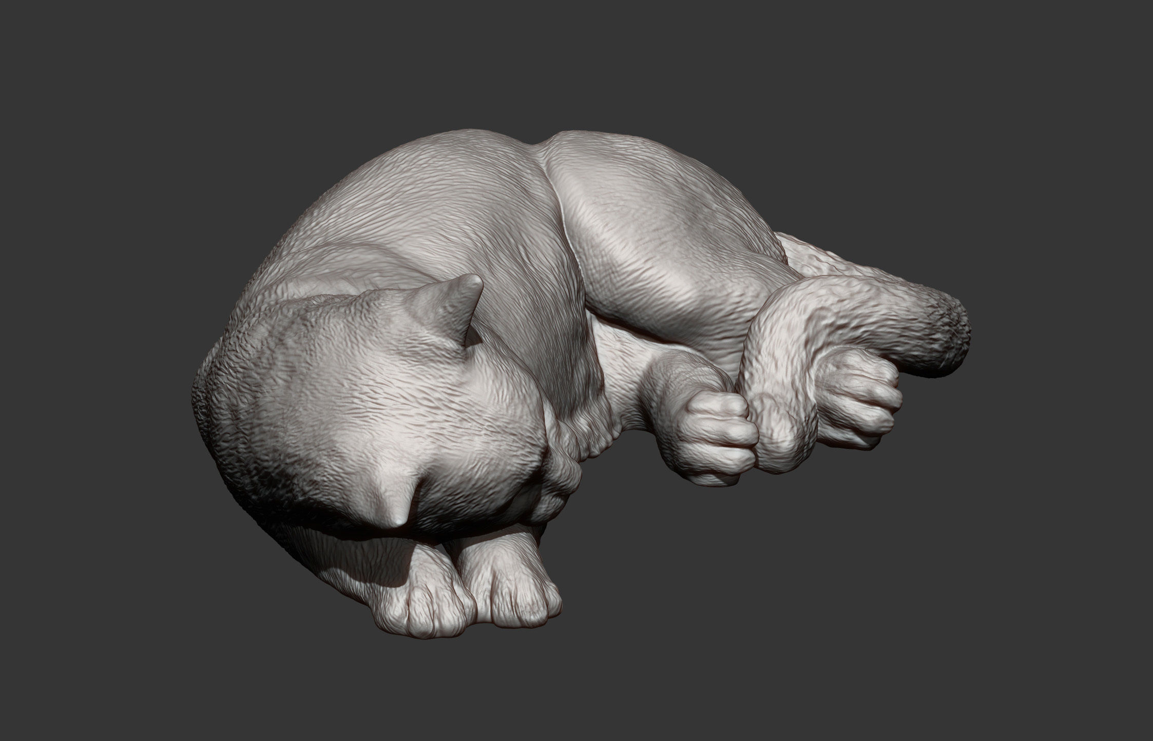 sleeping cat 3D model 3D printable | CGTrader