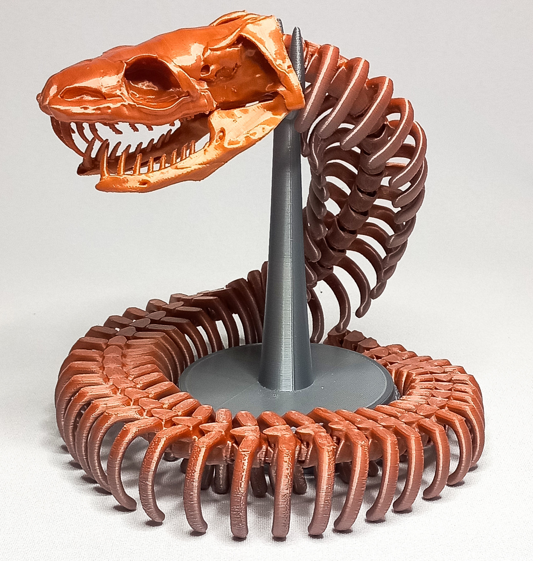 ARTICULATED SKELETON SNAKE 3D model 3D printable | CGTrader