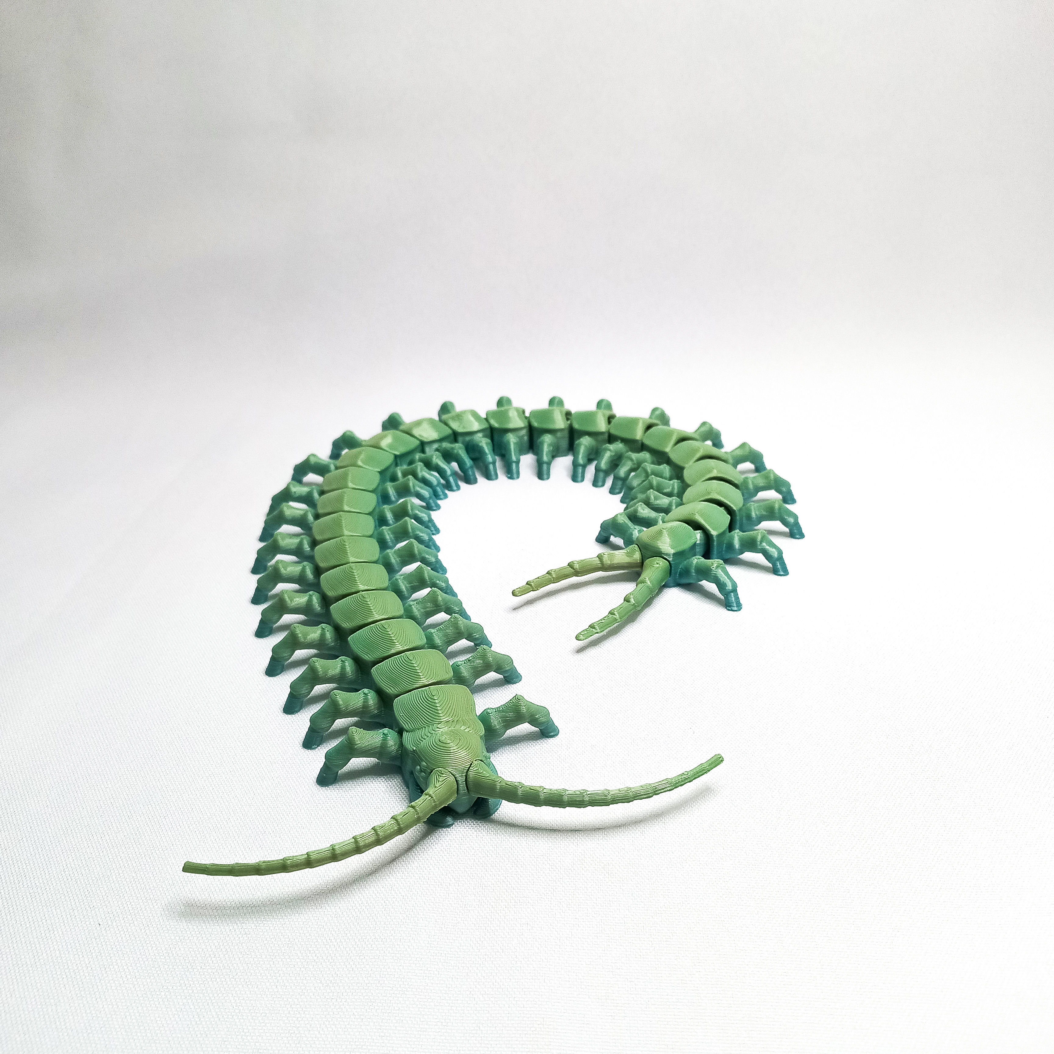 CENTIPEDE paper caterpillar 3D model 3D printable | CGTrader