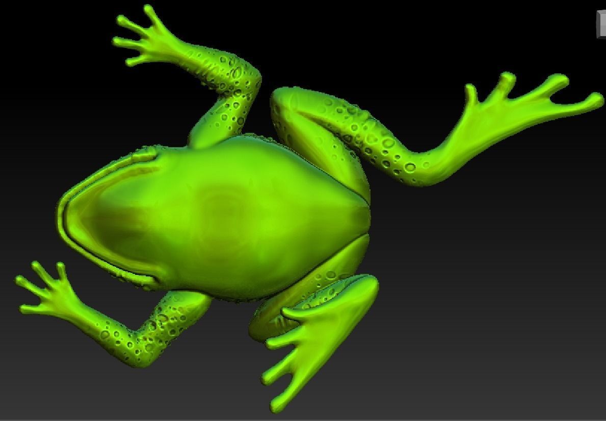 i am frog 3D model 3D printable | CGTrader