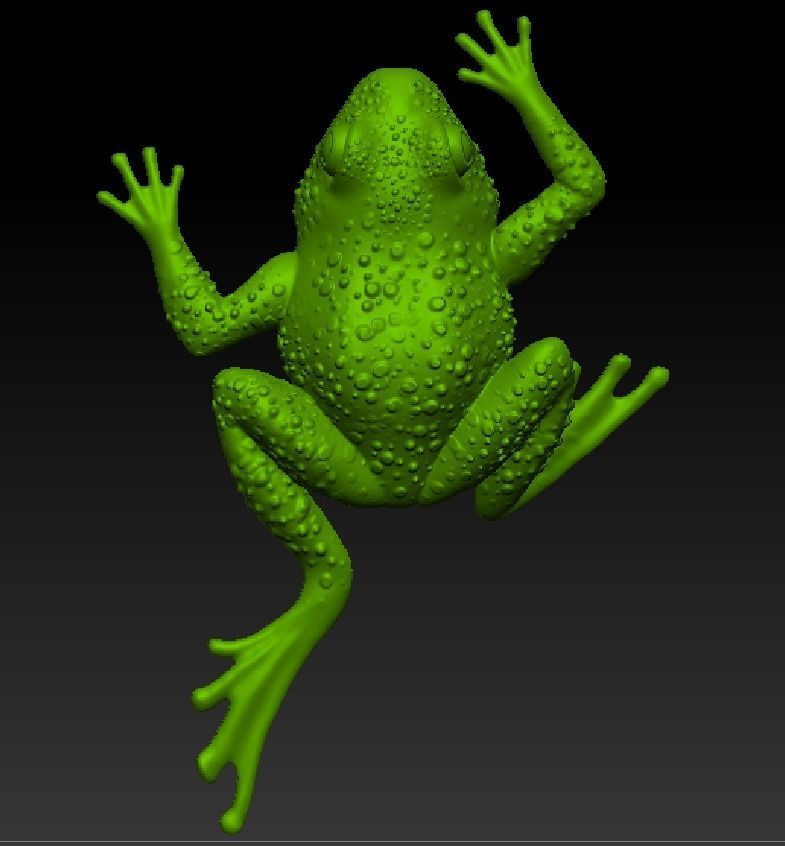 i am frog 3D model 3D printable | CGTrader