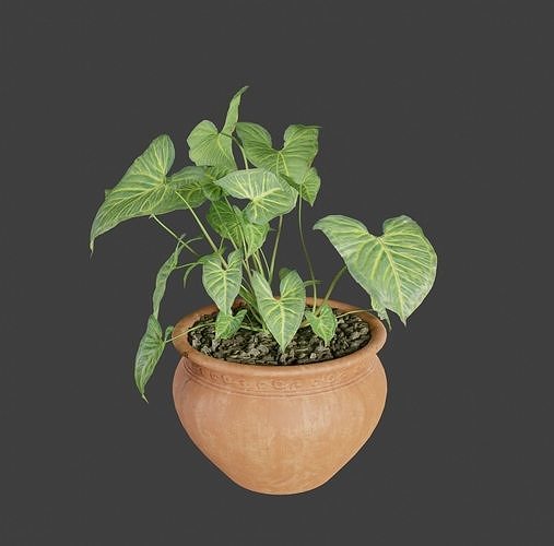 Room FLower free 3D model | CGTrader