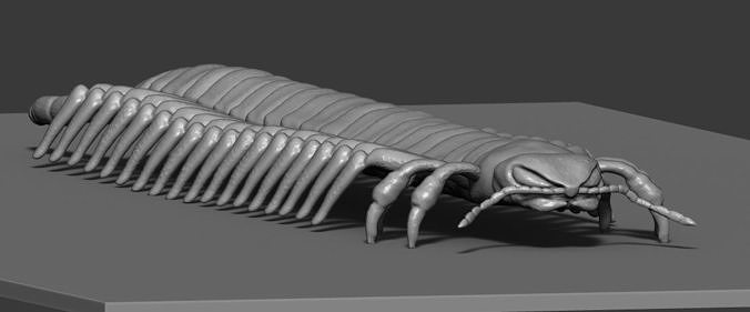 Centipede model 3D model 3D printable | CGTrader