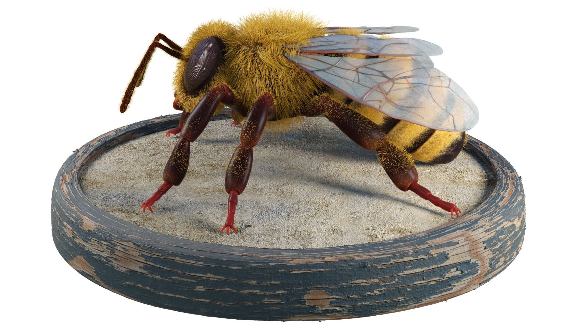 3D model Bee - Blender VR / AR / low-poly | CGTrader