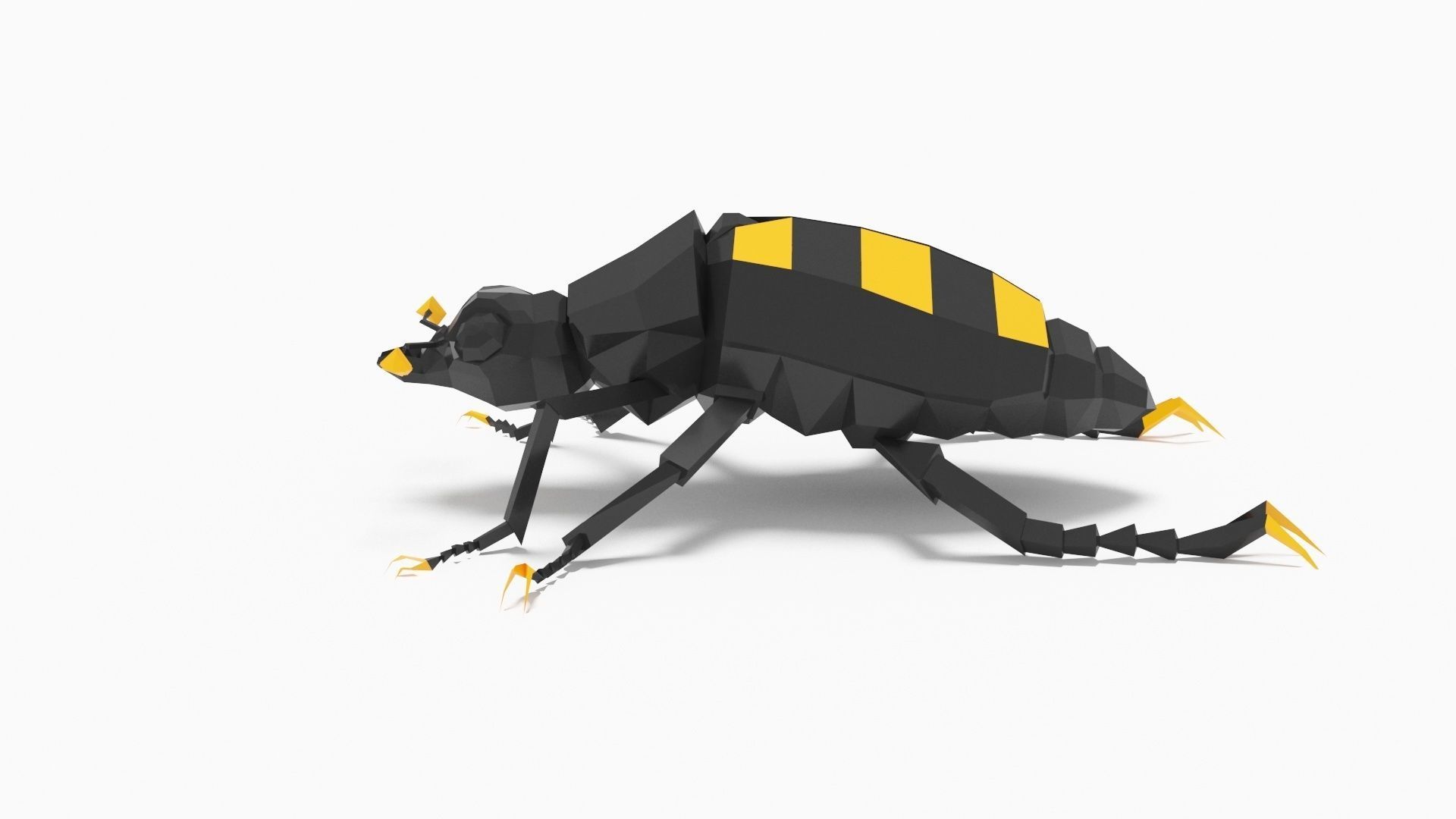 Bug low poly beetle 3D model | CGTrader