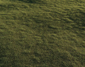 Grass field 3D Models | CGTrader
