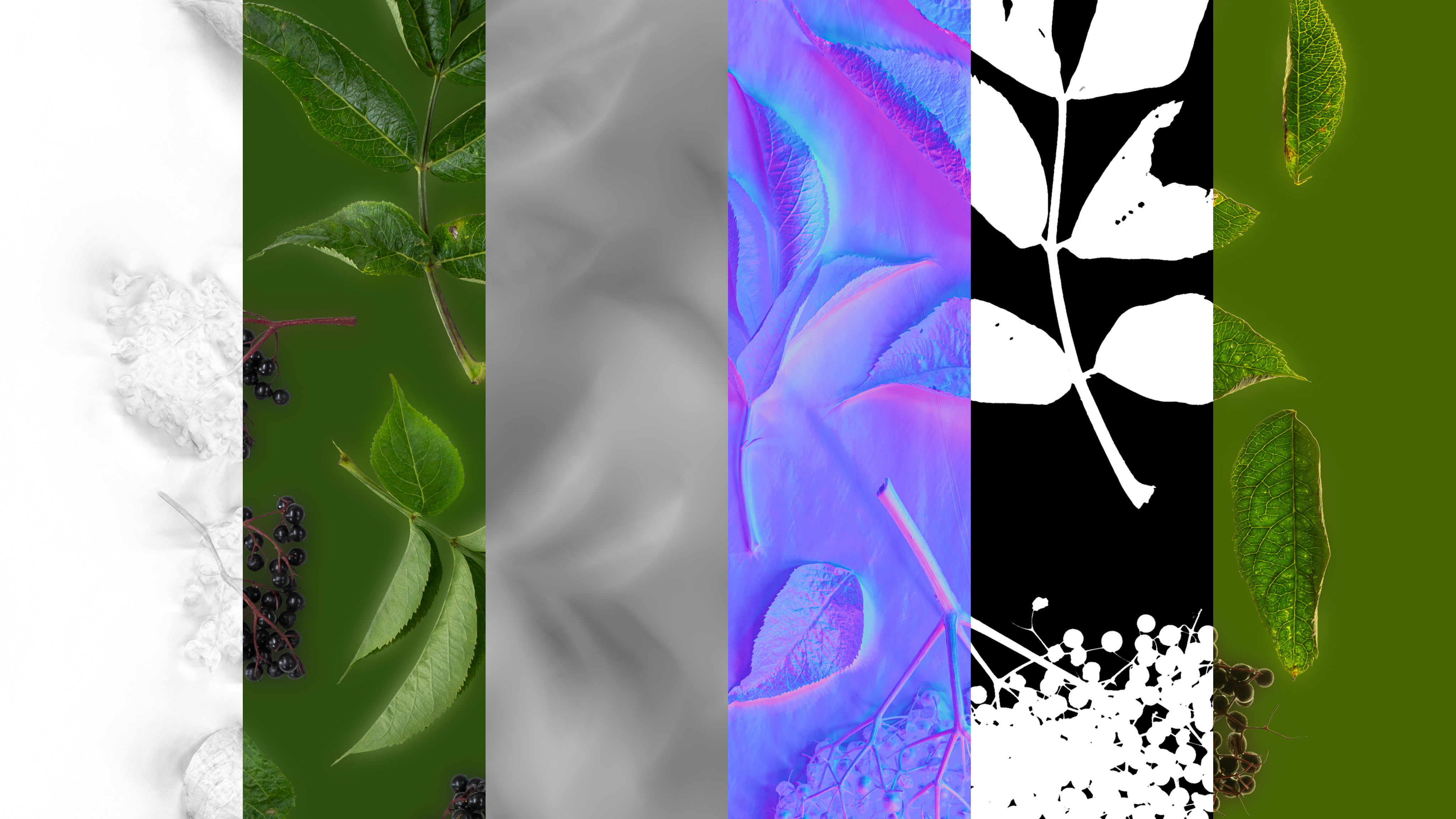 Garden trees leaves atlases Texture | CGTrader