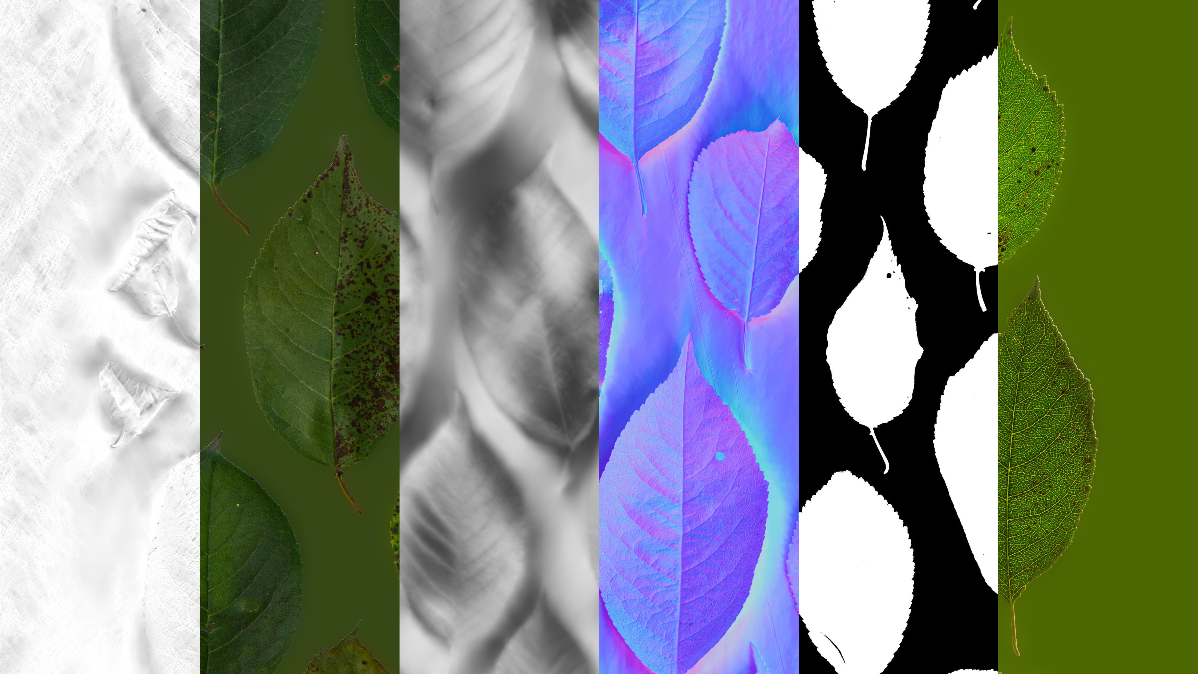 Garden trees leaves atlases Texture | CGTrader