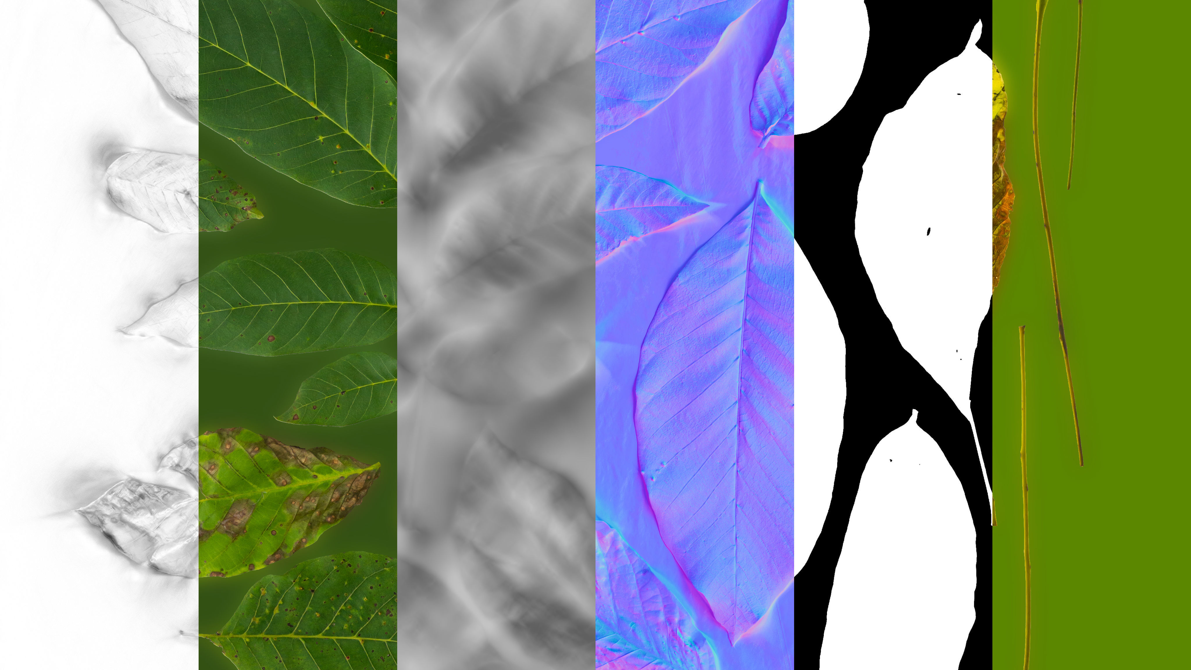 Garden trees leaves atlases Texture | CGTrader