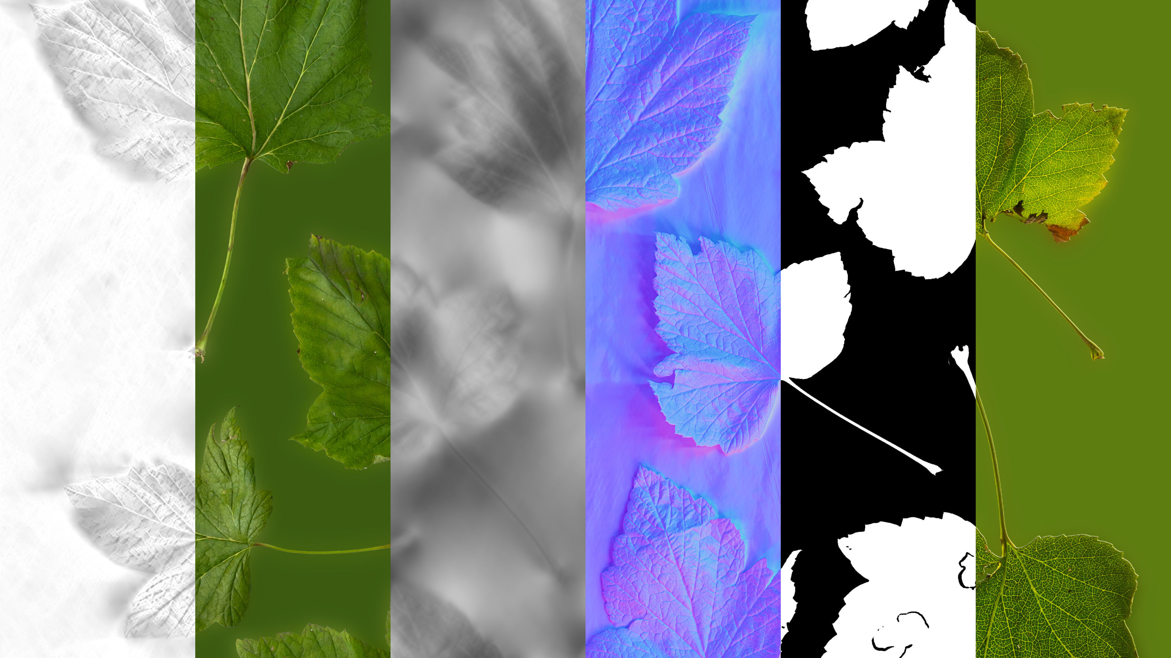 Garden trees leaves atlases Texture | CGTrader