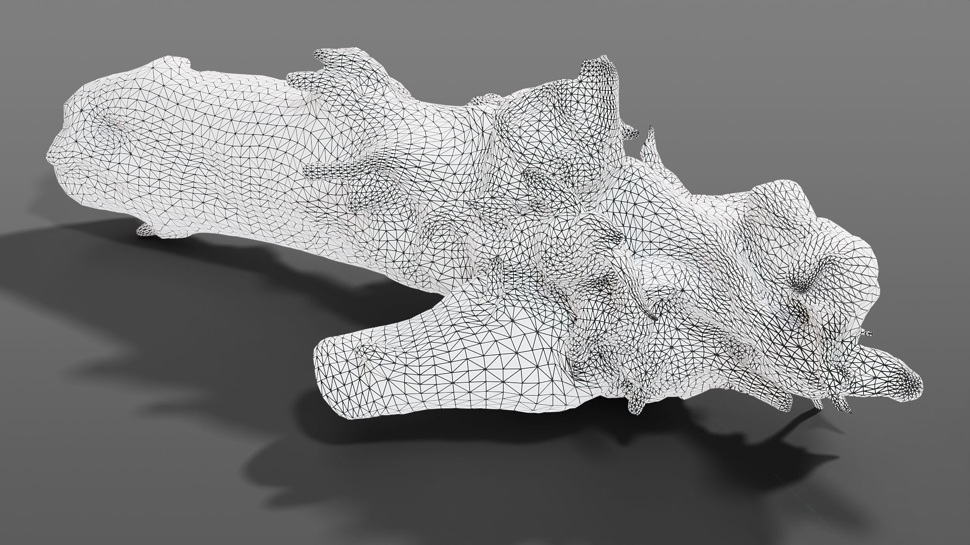 Old snag free 3D model | CGTrader