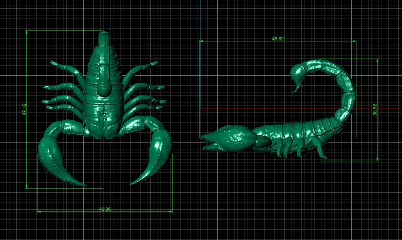 Scorpio 3D print or CNC model 3D print model 3D model 3D printable ...