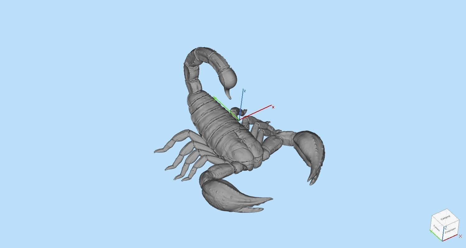 Scorpio 3D print or CNC model 3D print model 3D model 3D printable ...