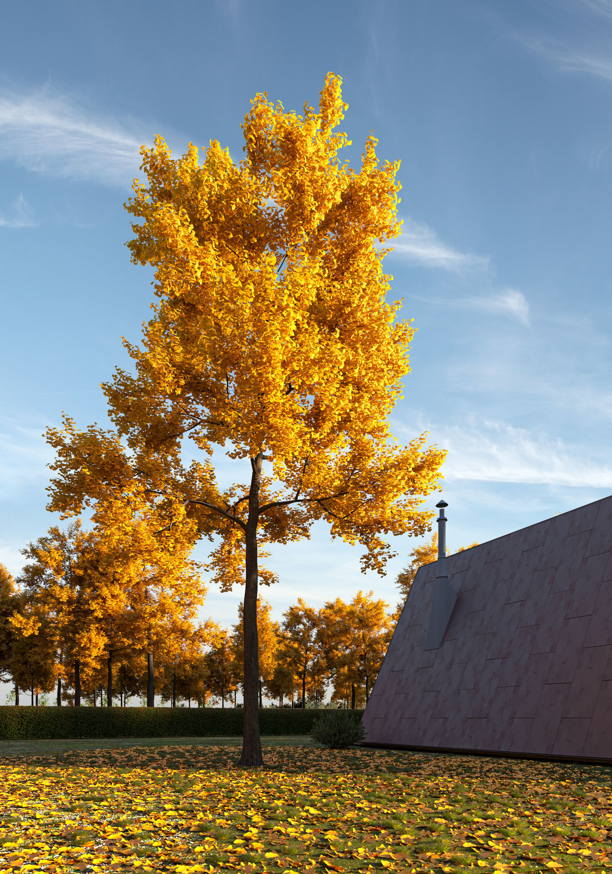 Gingko Tree 3D model | CGTrader