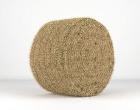 Hay 3D Models | CGTrader