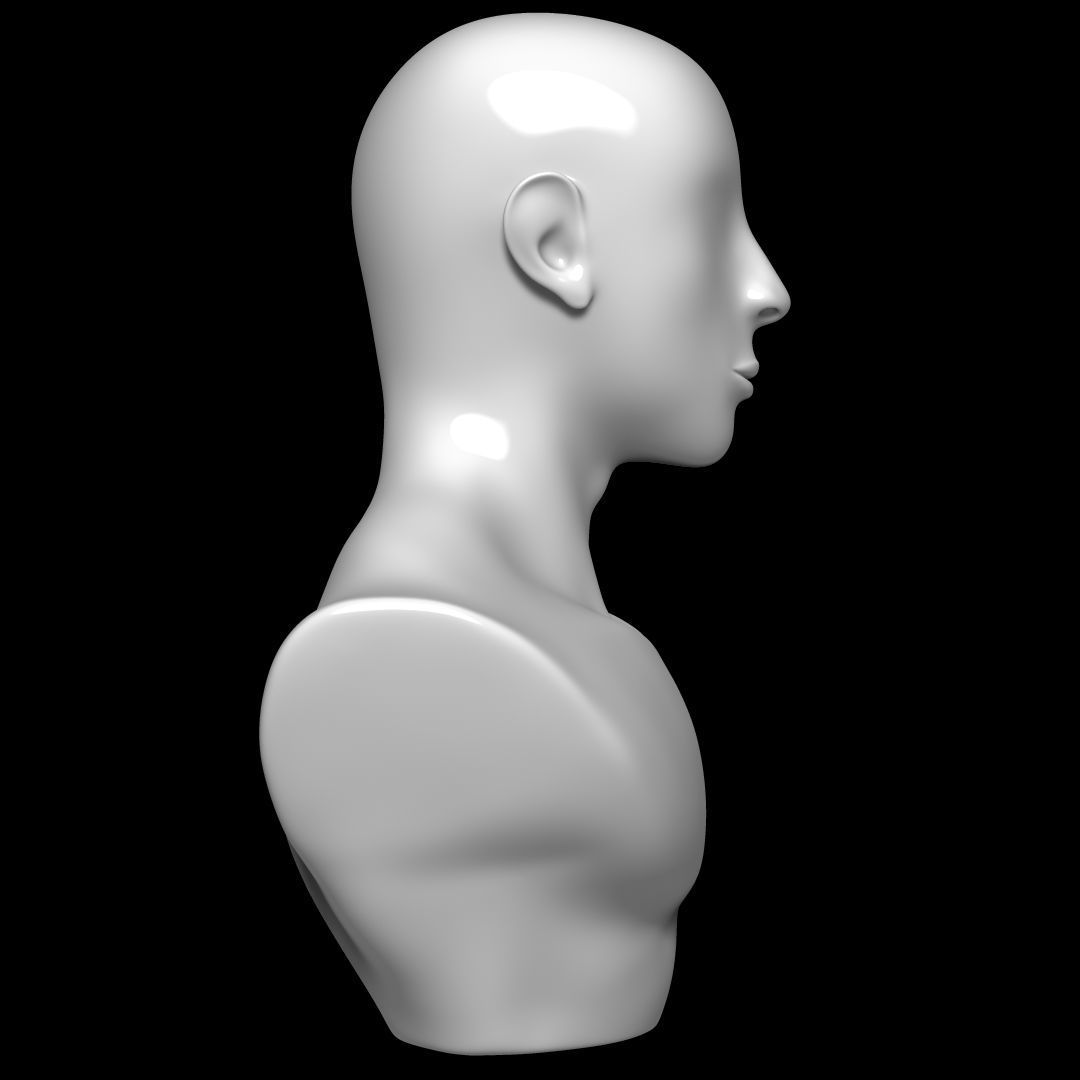 Mannequin Head 3D model | CGTrader