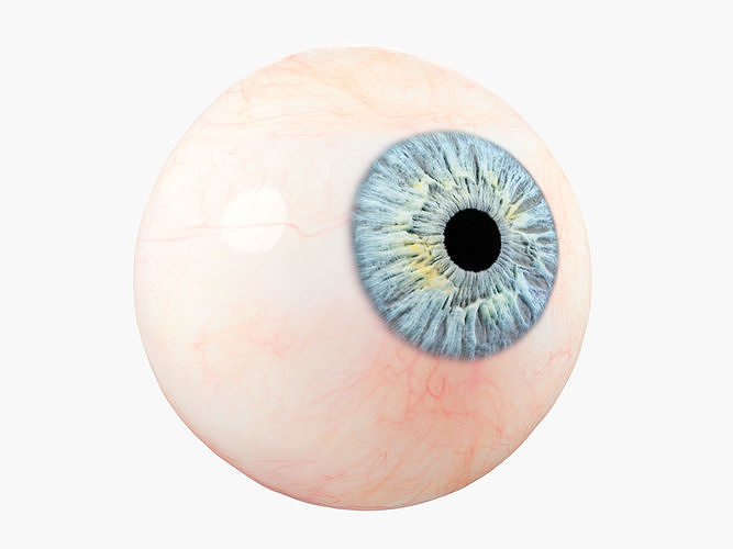 3D model Production-Ready Photorealistic Human Eye - Multicolor VR / AR ...